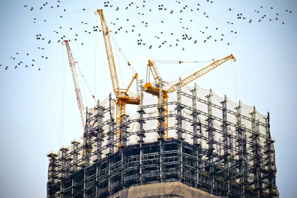 What is the Full Form of CSCS? Explained
